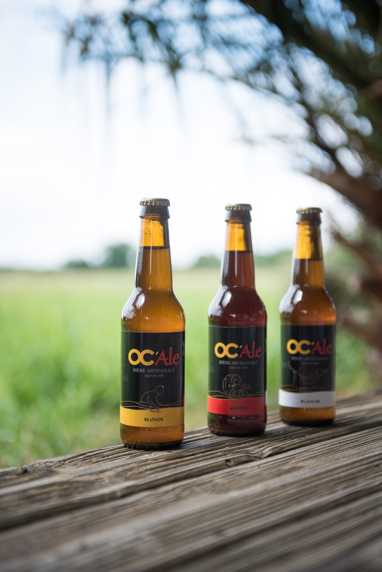 Nous vous livrons directement chez vous!!! | La Bière OC'ALE, Une Bière ...